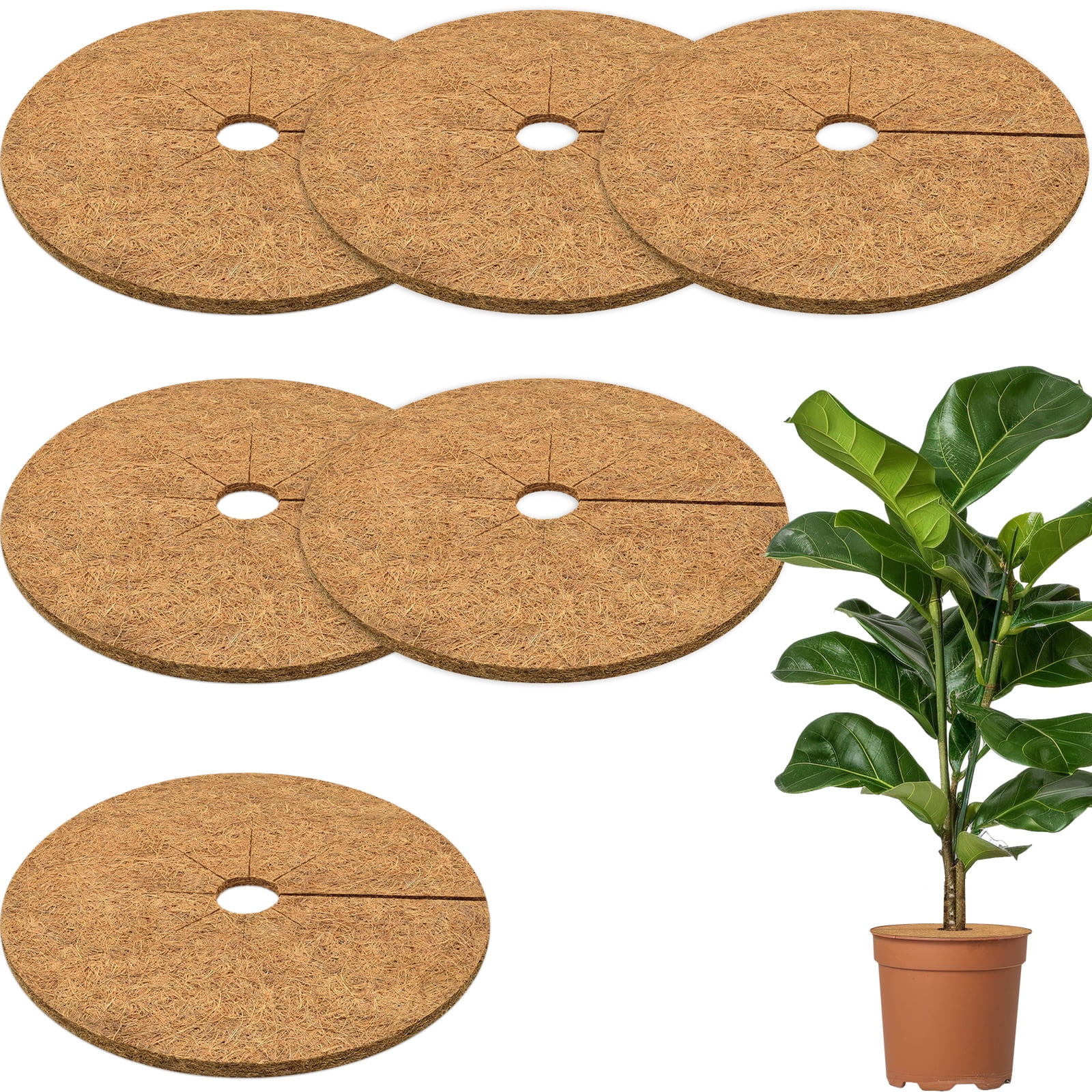 ZeeDix 6 Pcs Coconut Fibers Mulch Ring Tree Protector Mat, 14 Inch Coco ...