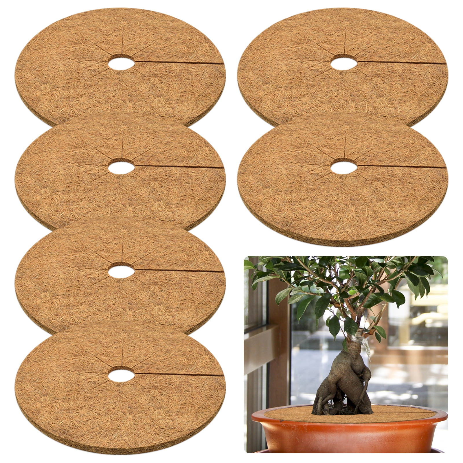 ZeeDix 6 Pcs Coconut Fibers Mulch Ring Tree Protector Mat, 24 Inch Coco ...