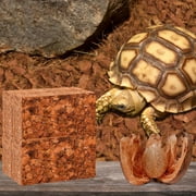 Best Snake Bedding For Ball Python