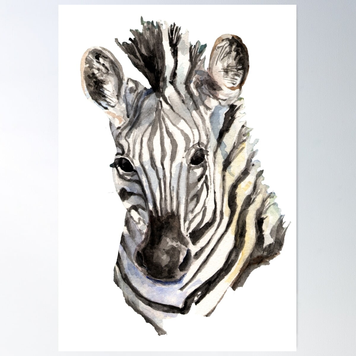 Zeebe The Zebra Poster Wall Art, Modern Wall Decor For Living Room ...