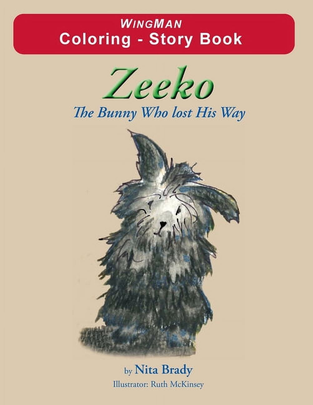 Zeeko, Coloring - Story Book (Paperback) - Walmart.com