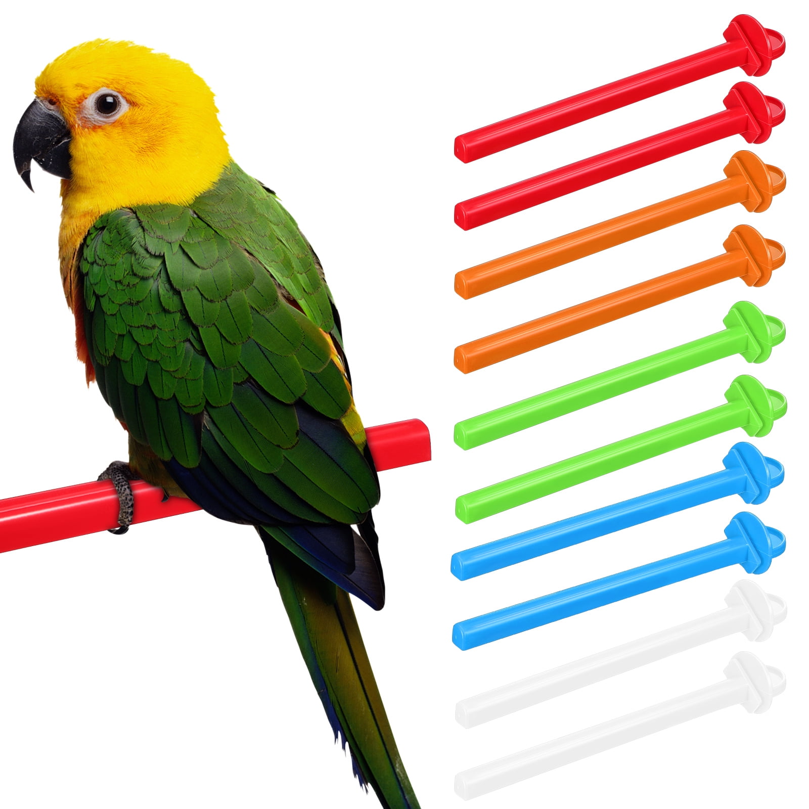 Zehuanyu 10 Pcs Bird Stands for Parrots Plastic Pigeon Cage Holder Long ...