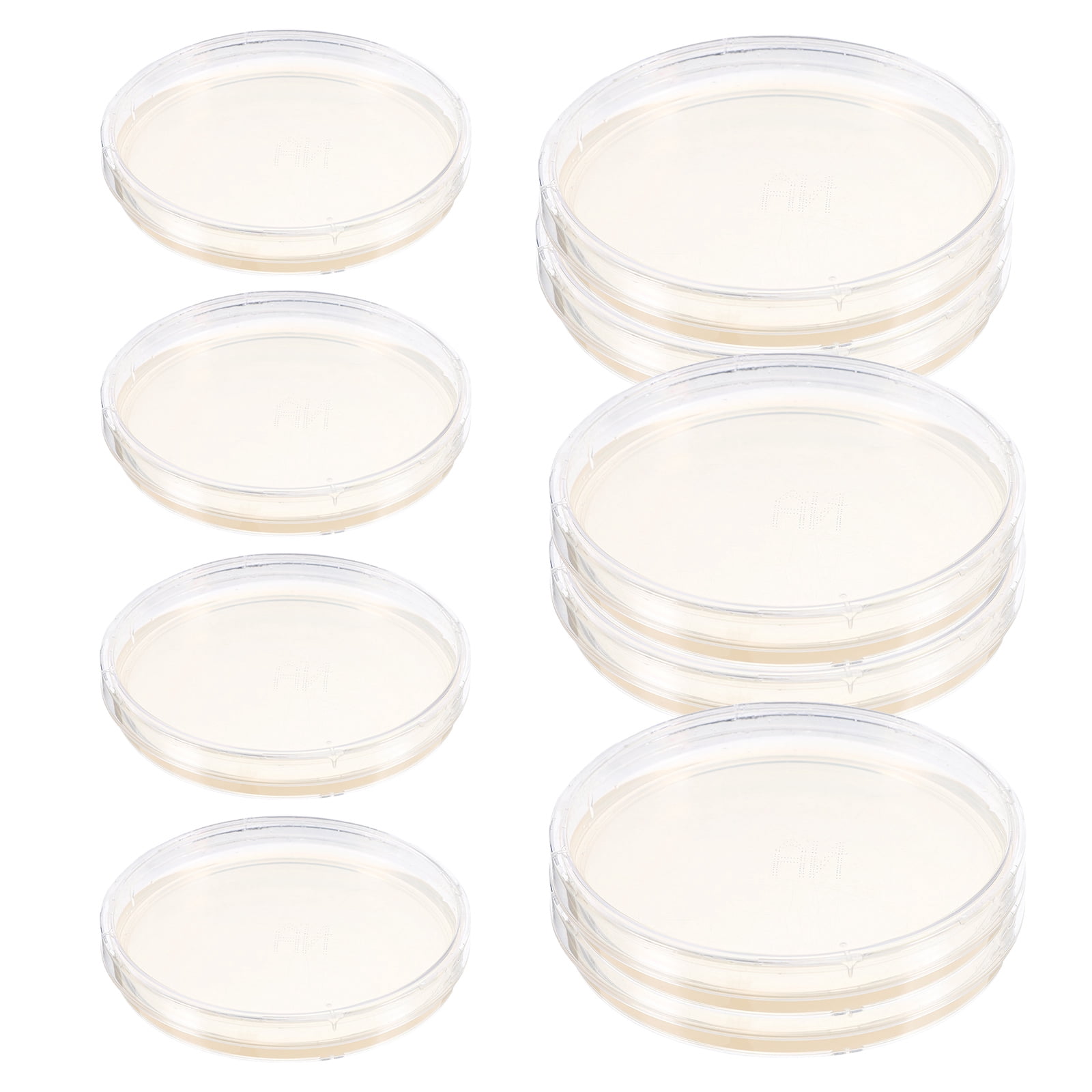 Zehuanyu 10pcs Agar Plates Portable Agar Petri Dishes Science Projects ...