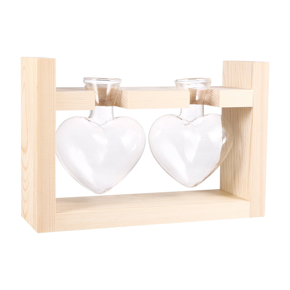 Zehuanyu 2 Pcs Plant Self Watering Devices Innovative Hydroponic Vase ...