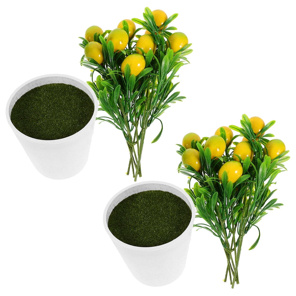 Zehuanyu 2 Sets Simulated Lemon Tree Bonsai Fake Lemonade Stand Office ...