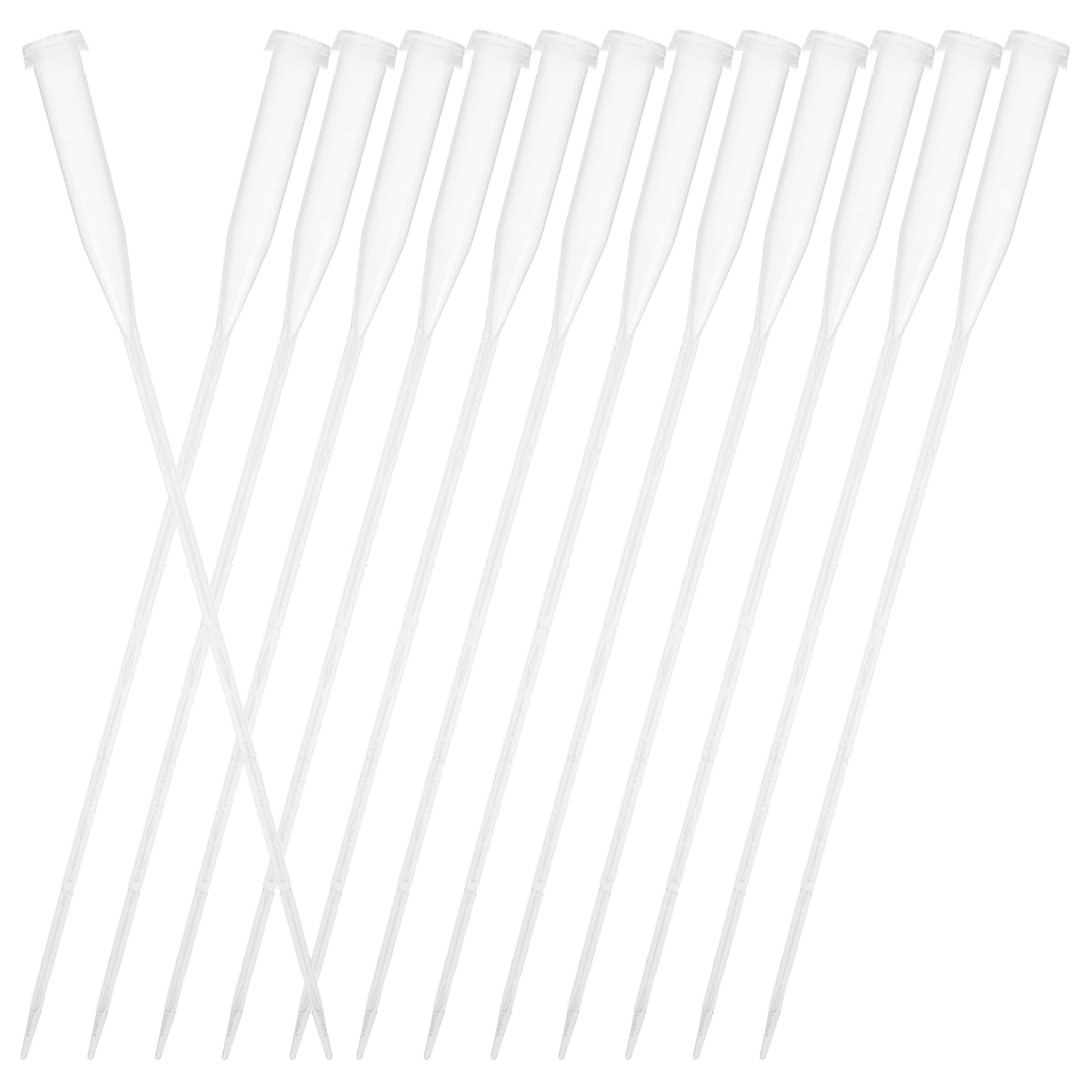 Zehuanyu 25pcs Transparent Plastic Flower Water Tubes with Anchor Picks ...