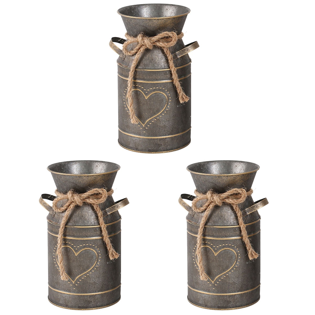 Zehuanyu 3pcs Galvanized Iron Planter Desktop Flower Pot Flower Bucket ...