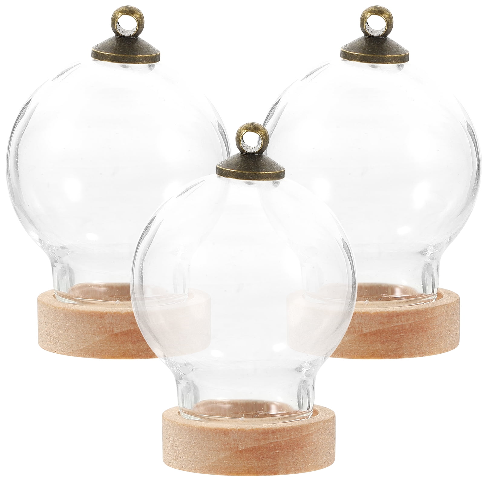 Zehuanyu 3pcs Small Glass Dome Mini Flower Display Case Transparent ...