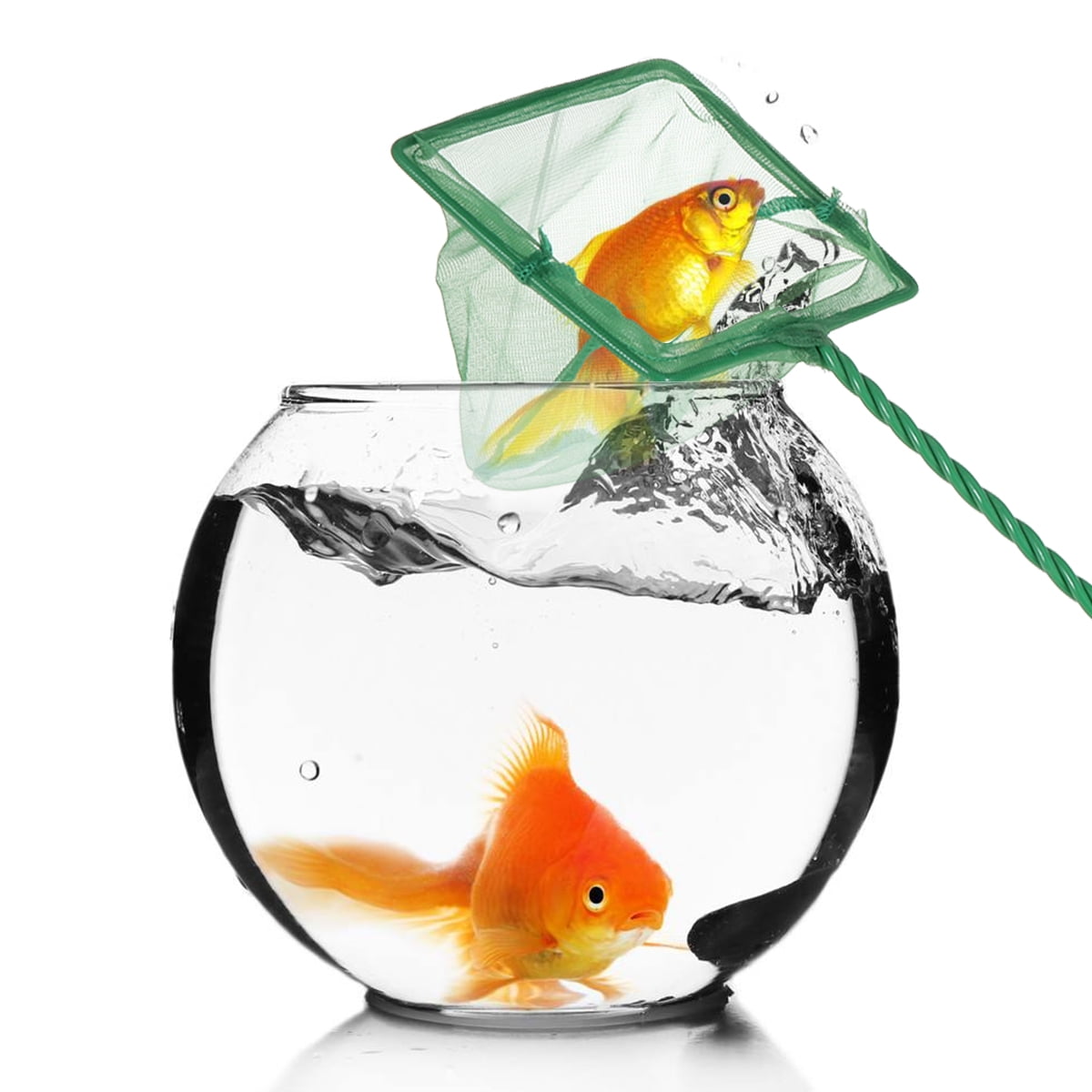 Zehuanyu 4 PCS Fish Tank Lights Fishnets Safe Catching Aquarium Fishing ...