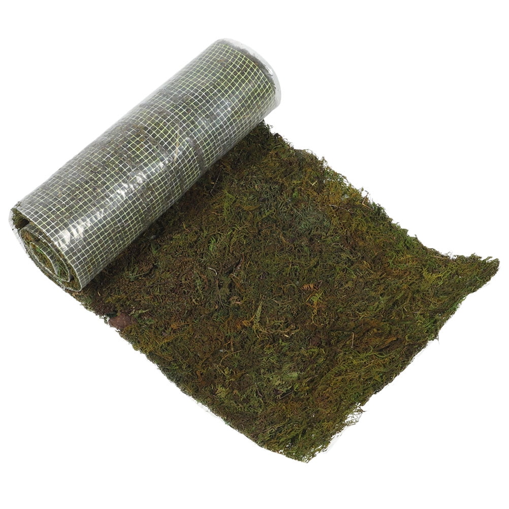 Zehuanyu Artificial Grass for Crafts and Projects Fake Moss for Reptile ...
