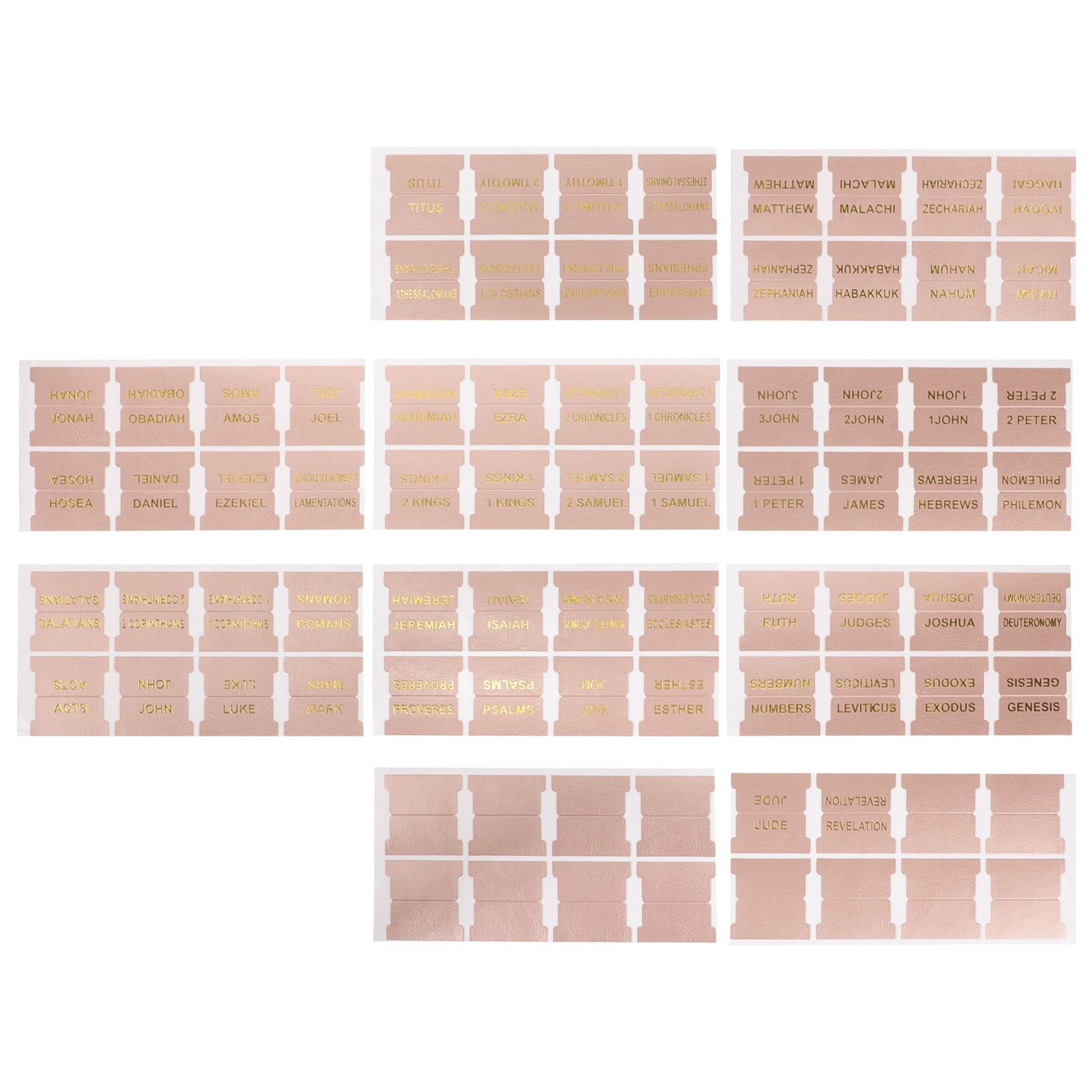 Zehuanyu Bible Supplies Book Tabs Study Binder Dividers with Miss Pink ...