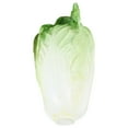 Zehuanyu Fake Vegetable Artificial Vegetable Lifelike Chinese Cabbage ...