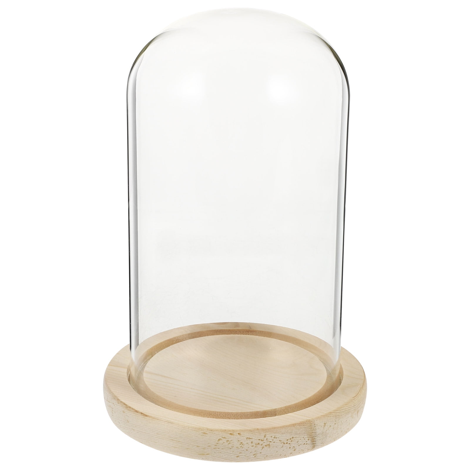 Zehuanyu Glass Dust Cover Plant Bell Jar Plants Vase for Flowers Light ...