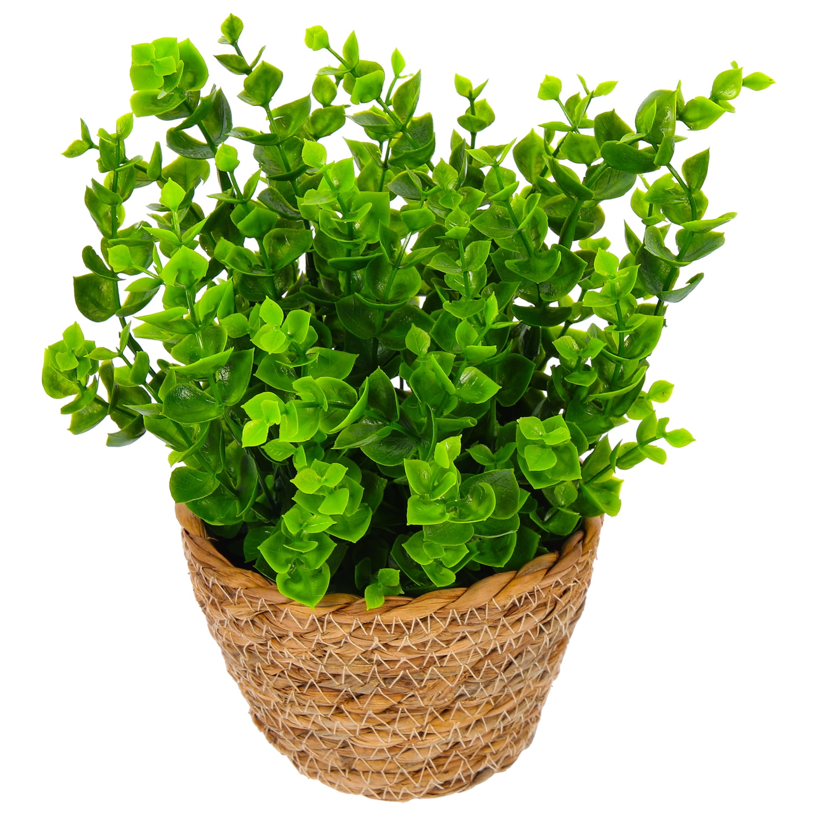 Zehuanyu Imitated Chicken Wing Artificial Potted Plant Desktop Bonsai ...
