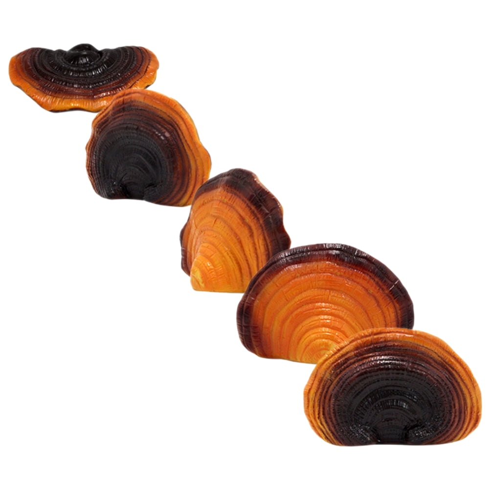 EXHUMKY Small Mushroom Figurine Assorted Color Landscape Decoration for ...