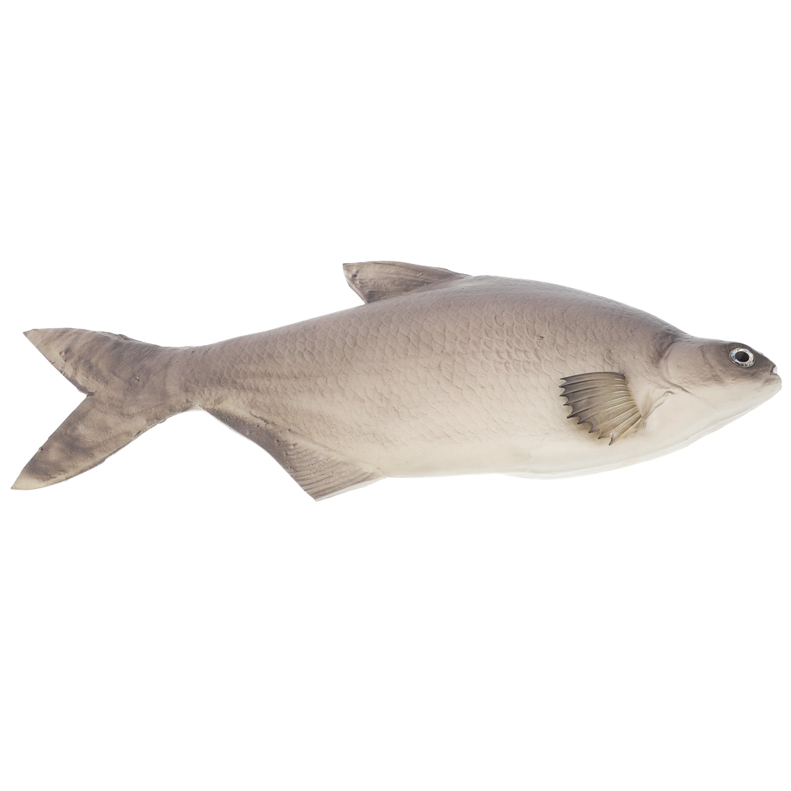 Zehuanyu Lifelike Fish Model Cat Fish Toy Market Fish Models PU ...