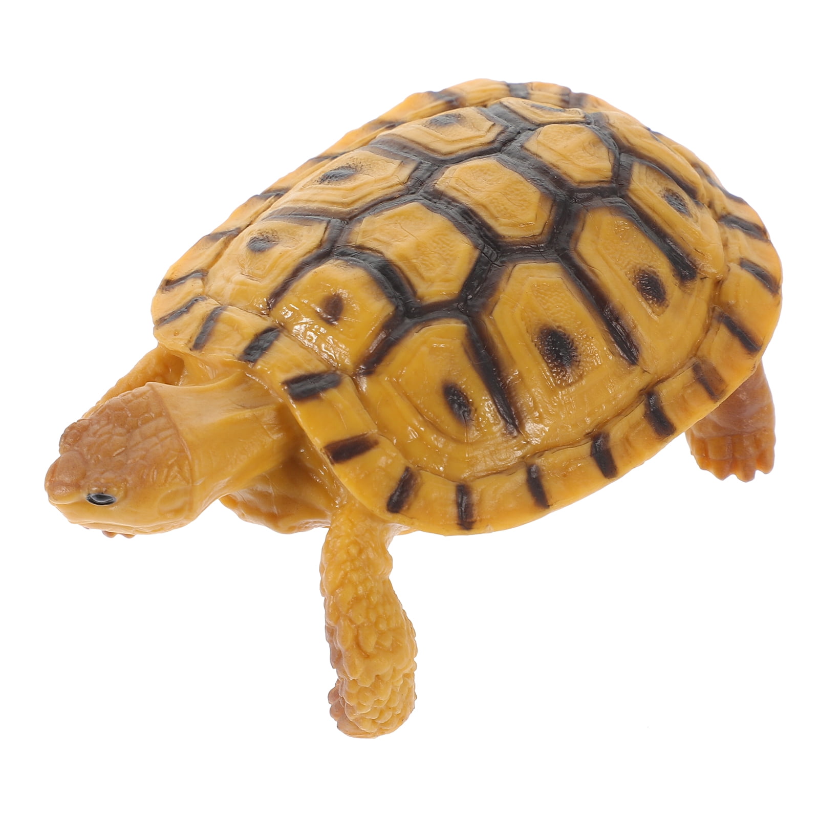 Zehuanyu Plastic Turtle Model Tortoise Toy Turtle Figurine Tortoise ...