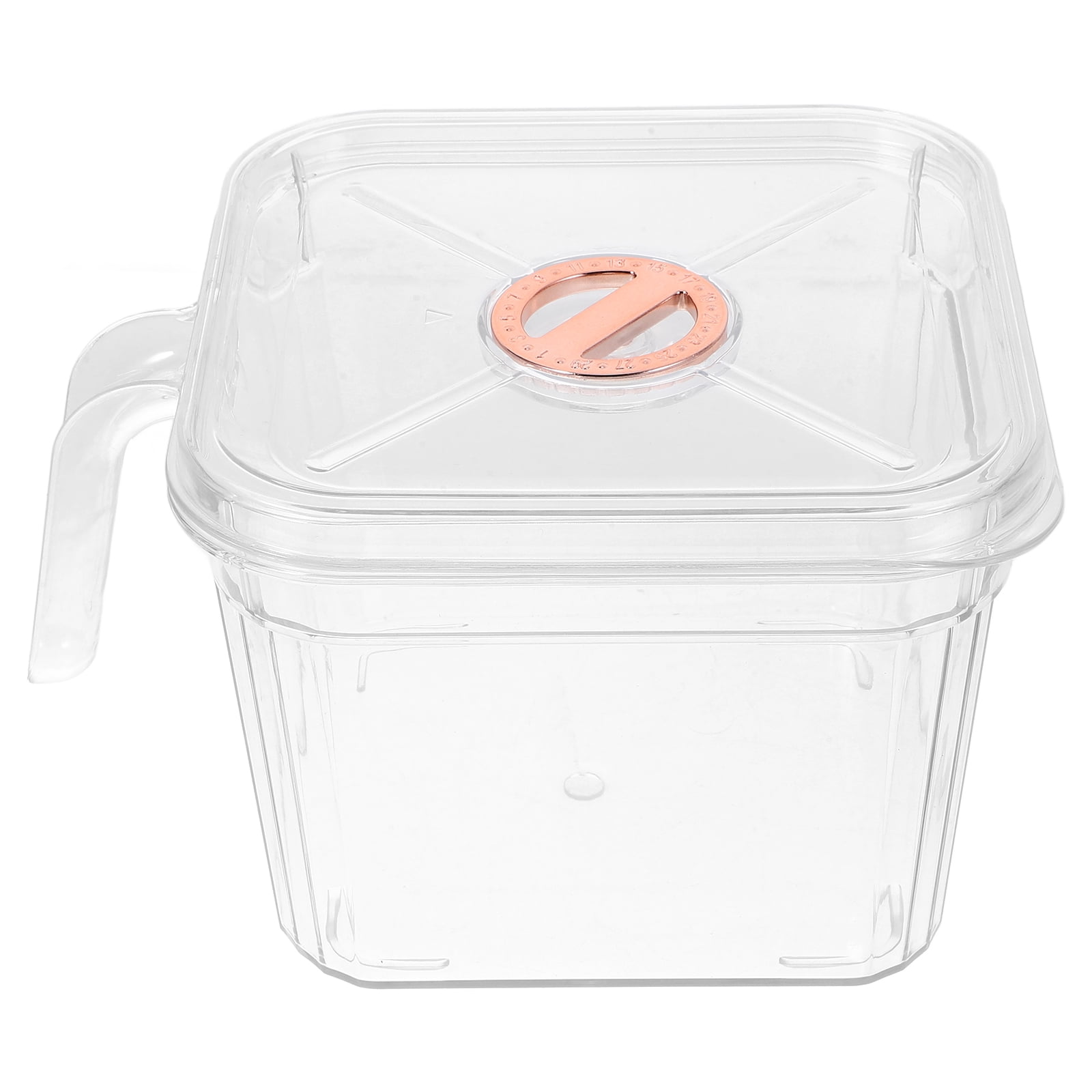 Zehuanyu Portable Betta Fish Bowl with Handle Shatterproof Desktop ...