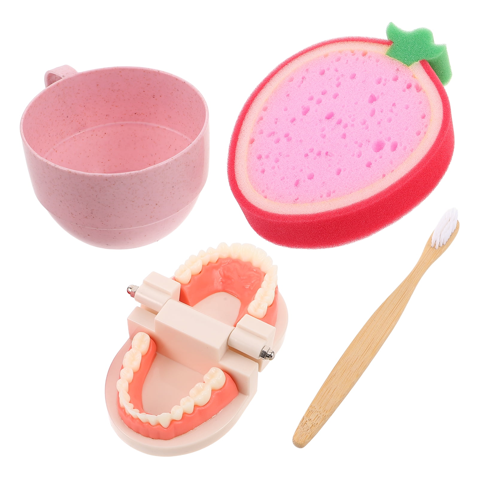 Zehuanyu Puzzle Toys Teaching Aids Children's Teeth Brushing Toddler ...