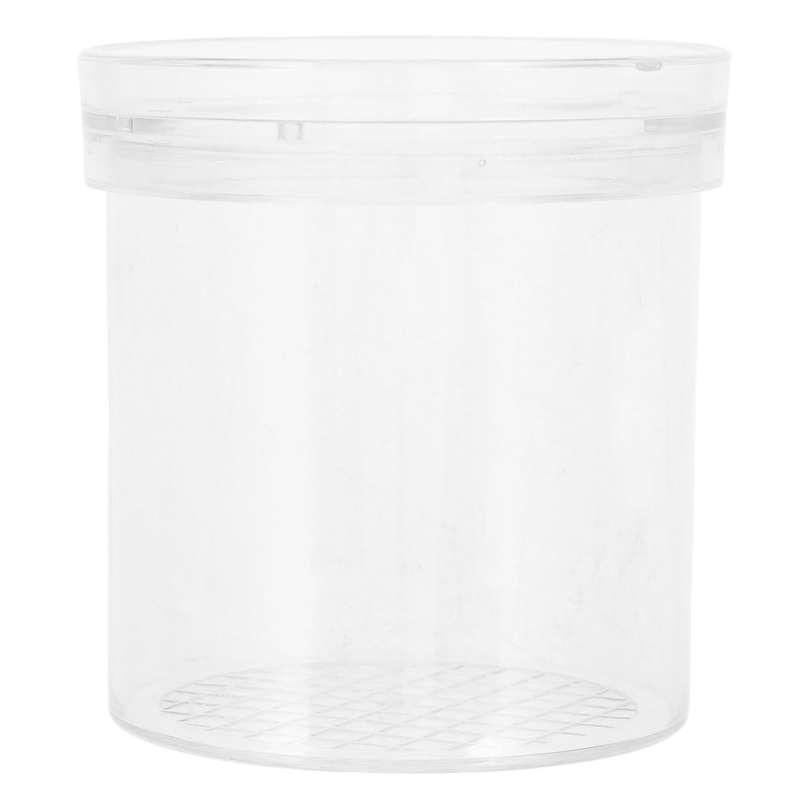 Zehuanyu Rabbit Egg Stickers Kit Insects Observation Box Primary School ...