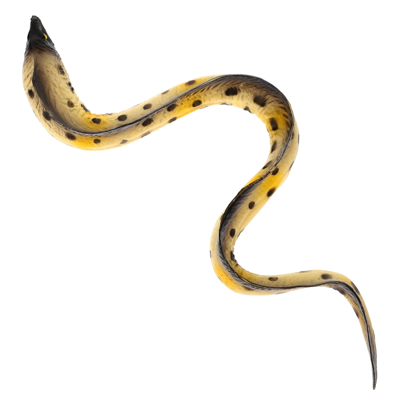 Zehuanyu Realistic Simulation Sea Eel Prop Small Sea Animal Learning ...