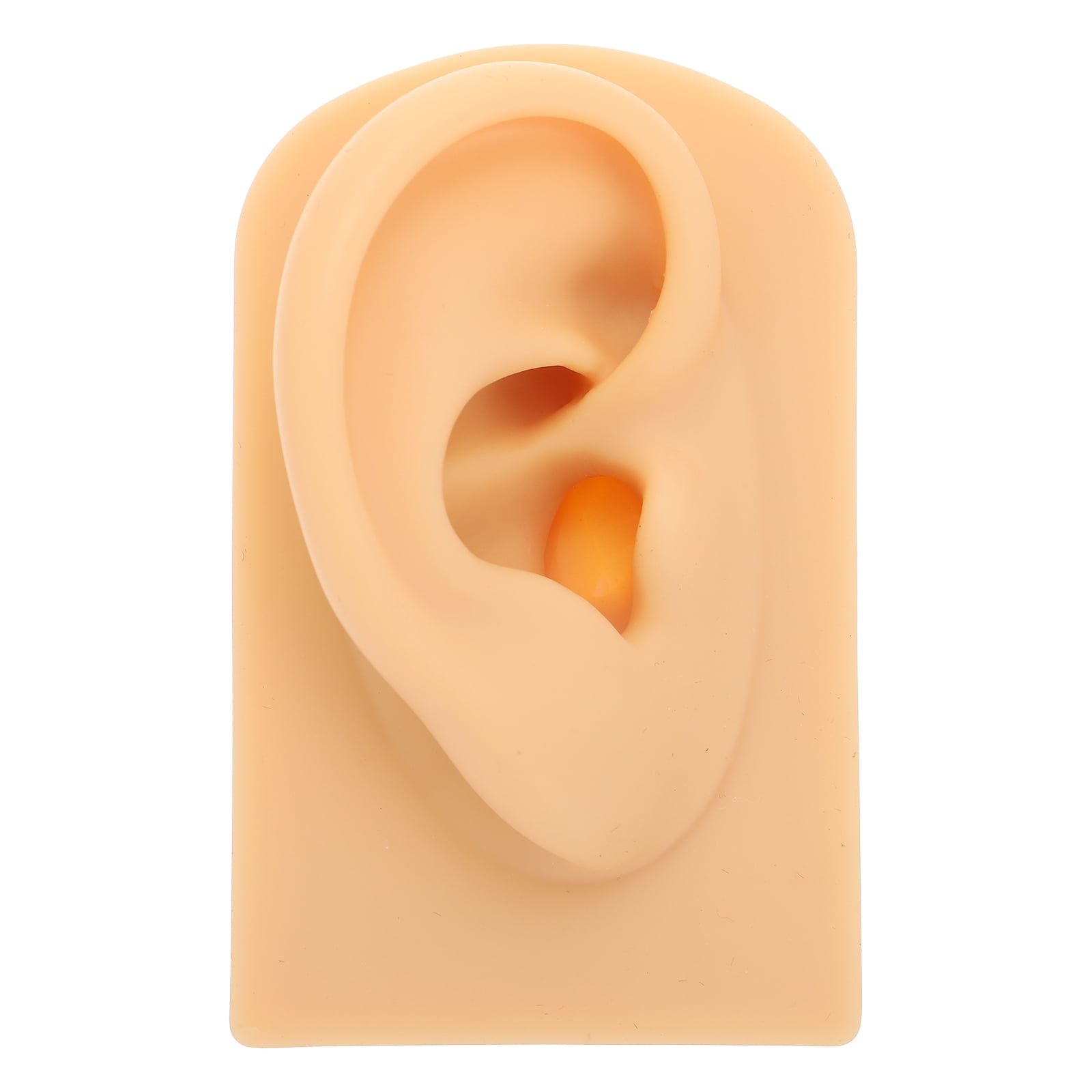 ZEHUANYU Silicone Simulated Ear Model Ear Piercing Model Practice ...