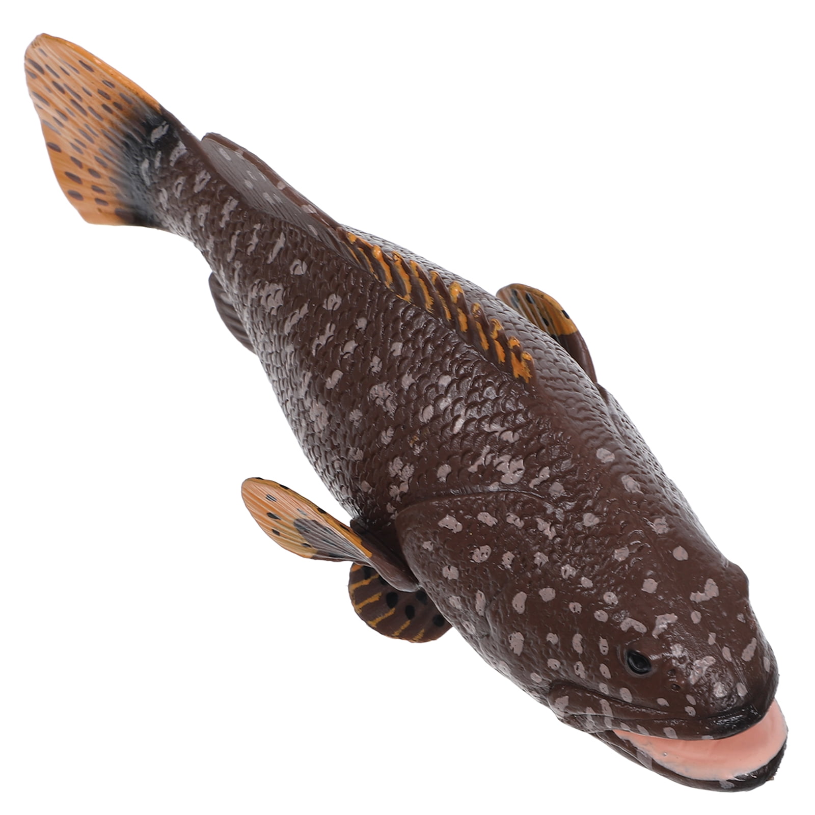 RENACLIPY Fish Figure Model Grouper Figurine Dark Brown 1Pcs - Walmart.com
