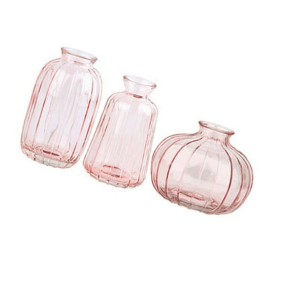 Zeiwohndc 3 Piece Clear Ribbed Glass Vases For Natural Flower Bud ...