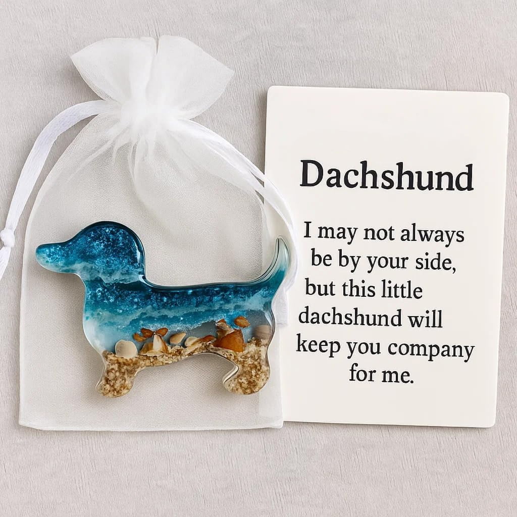 Zeiwohndc Animal Turtle Hug Gift, Small Sea Turtle Pocket Hug Signify ...