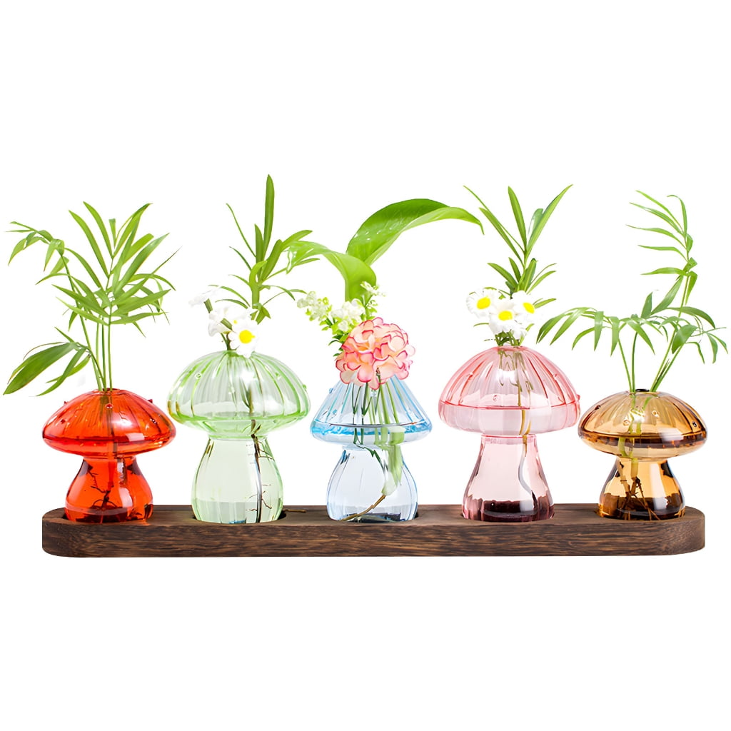 Zeiwohndc Desktop Glass Plant Propagation Station with Wooden Stand ...