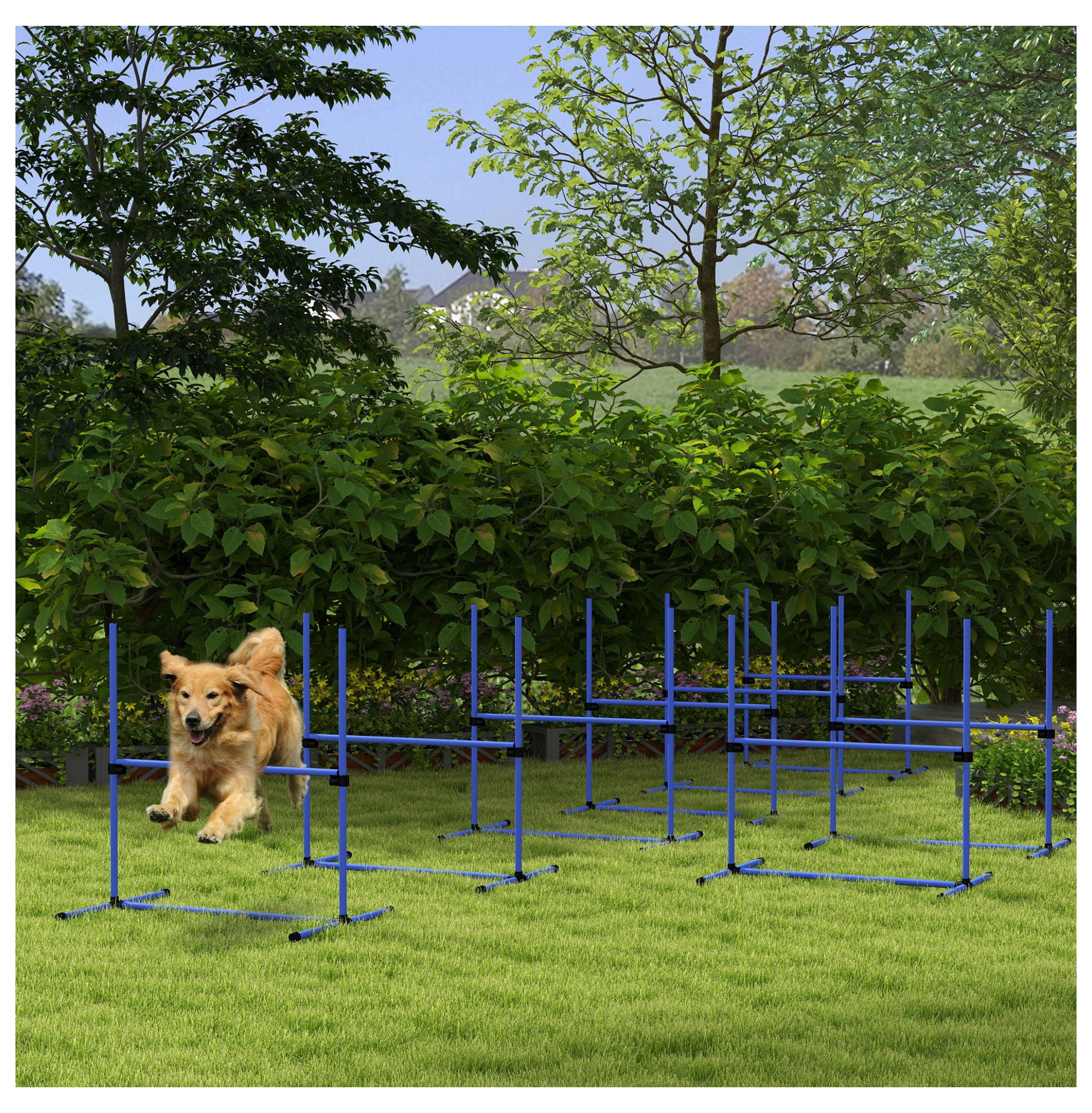 ZeloraGildan Agility Set Dog Jumping Training Obstacles Course Standing ...