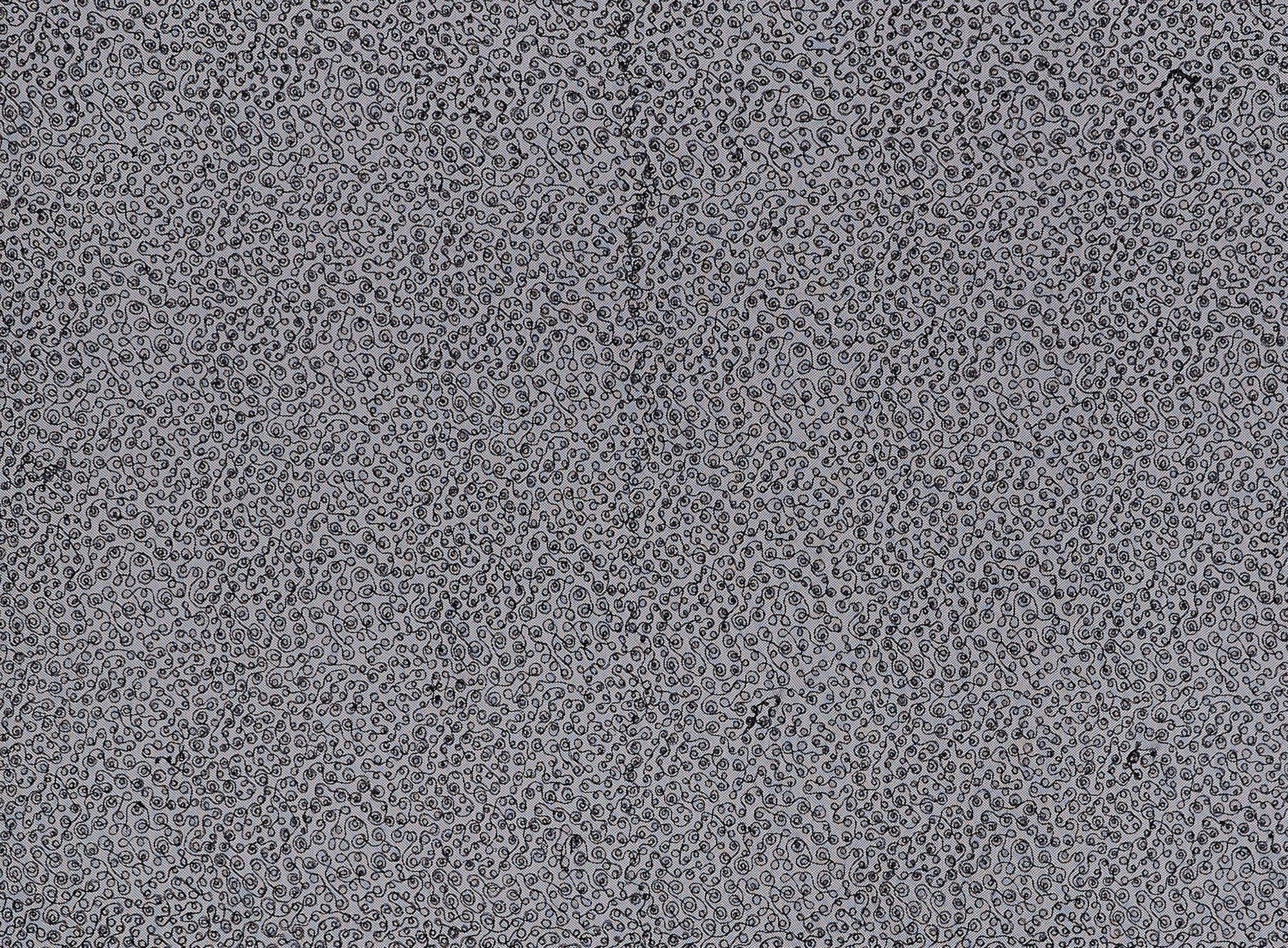 Zelouf Alluring Swirl Shiny Corded On Mesh , Sewing, DIY, Crafts Fabric ...