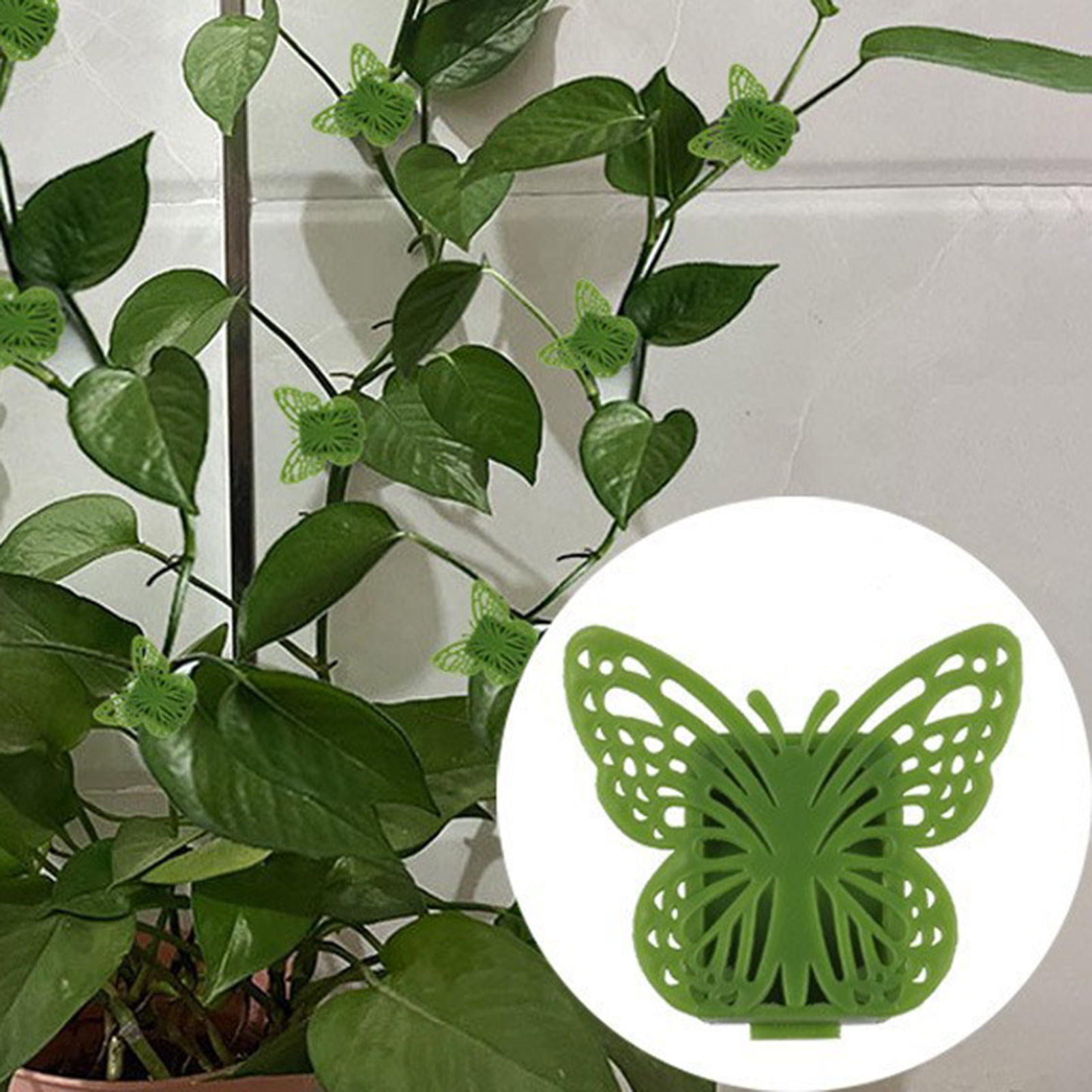 ZenCart 10/100 Pcs Vine Fixture Clips Climbing Plant Fixture Clips with ...