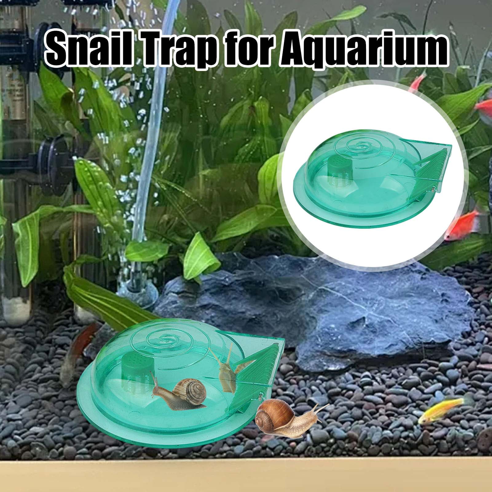 ZenCart Aquarium Snail Trap Plastic Transparent Snail Catching Tool for ...