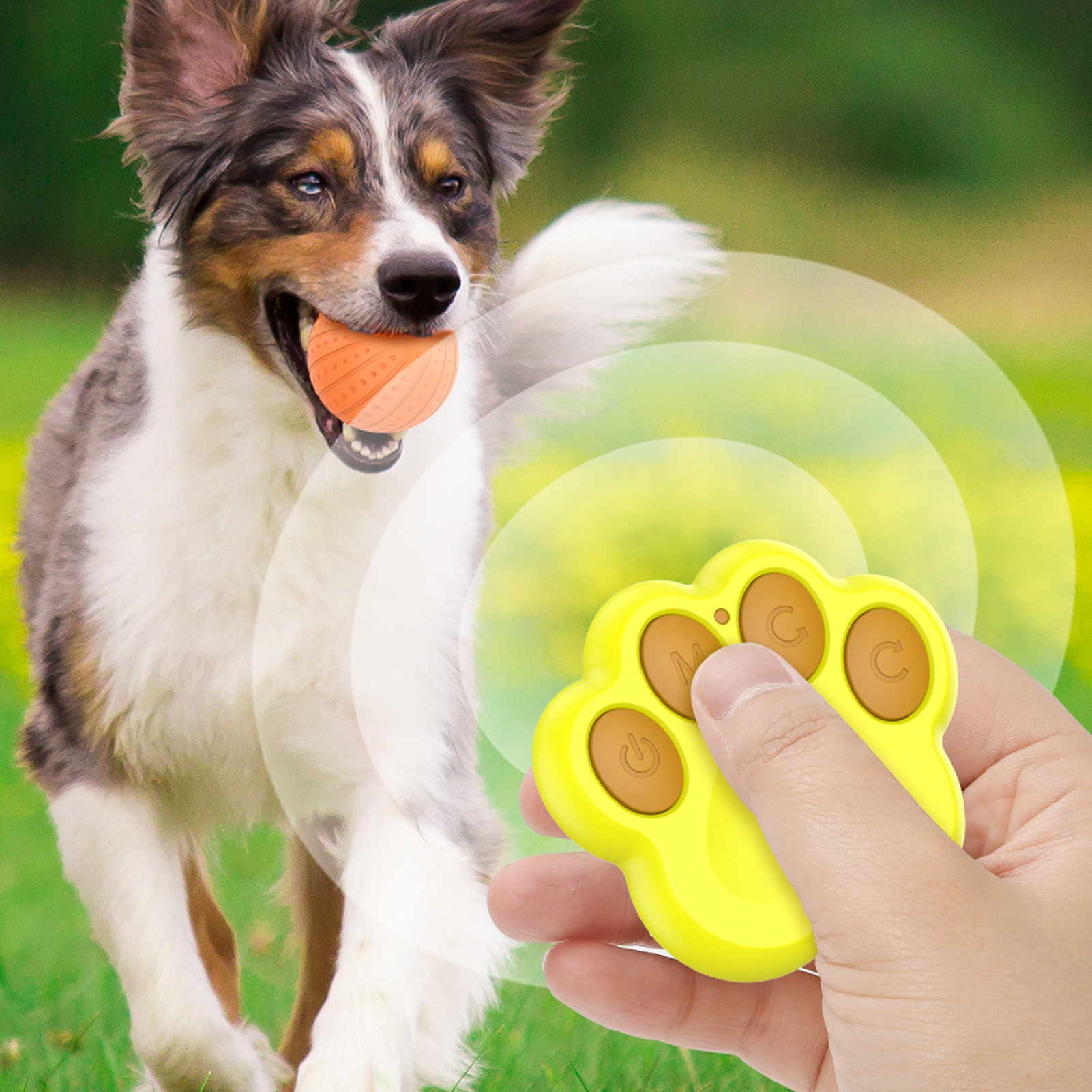 ZenCart Intelligent Interactive Dog Toy Ball with Remote Control 2 ...