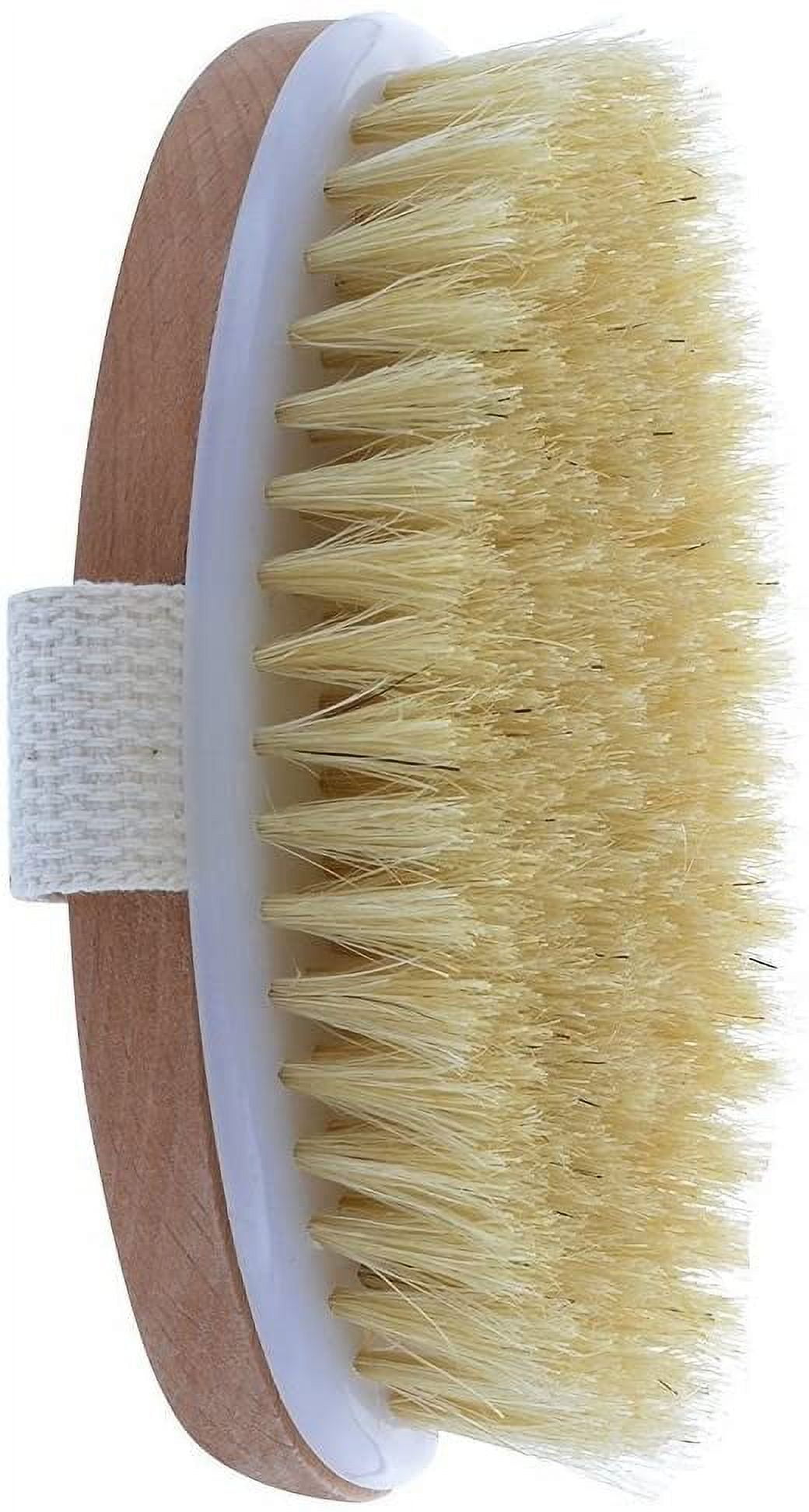 ZenSpace Dry Skin Body Brush, Natural Bristle, Remove Dead Skin and ...