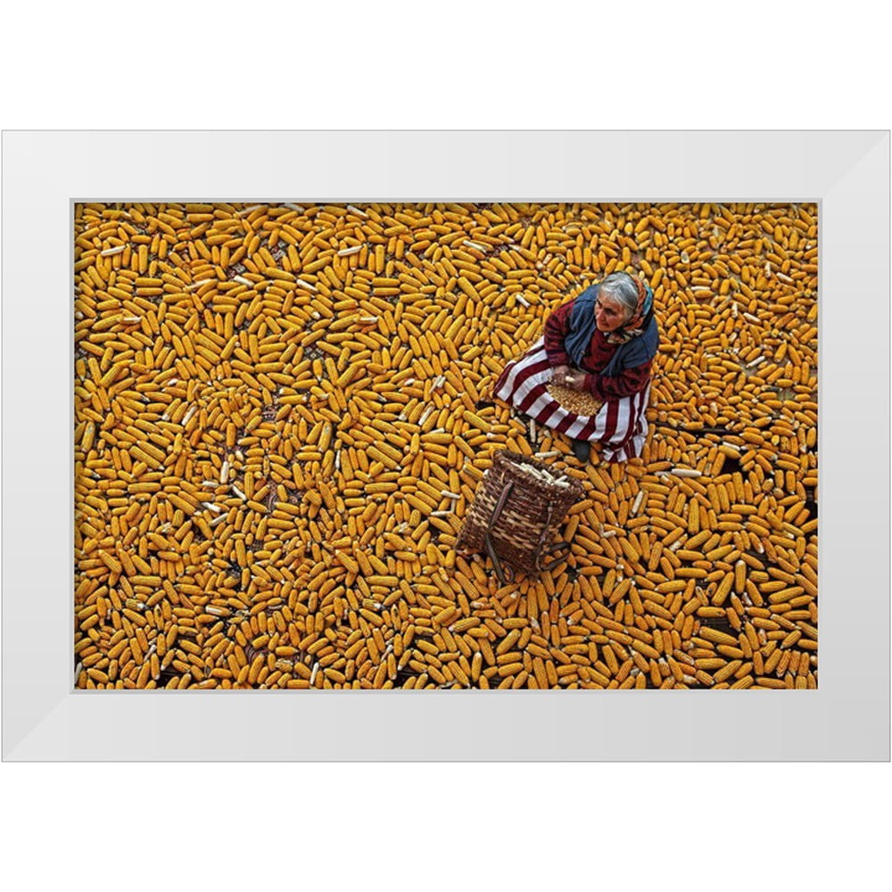 Zengin, Mustafa 32x22 White Modern Wood Framed Museum Art Print Titled ...