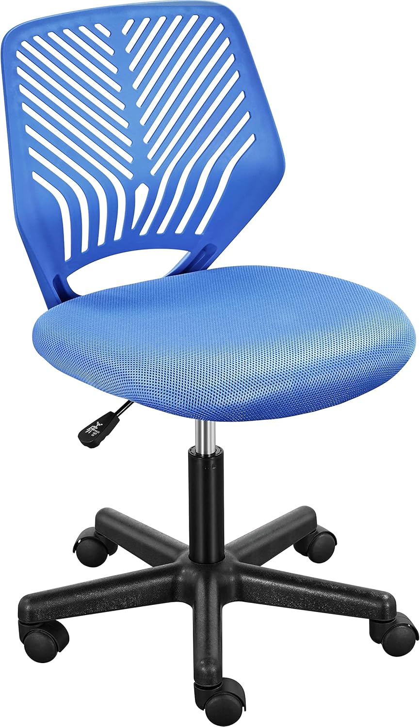 Zengpin Students Cute Desk Chair Low-Back Armless Study Chair w/Lumbar ...