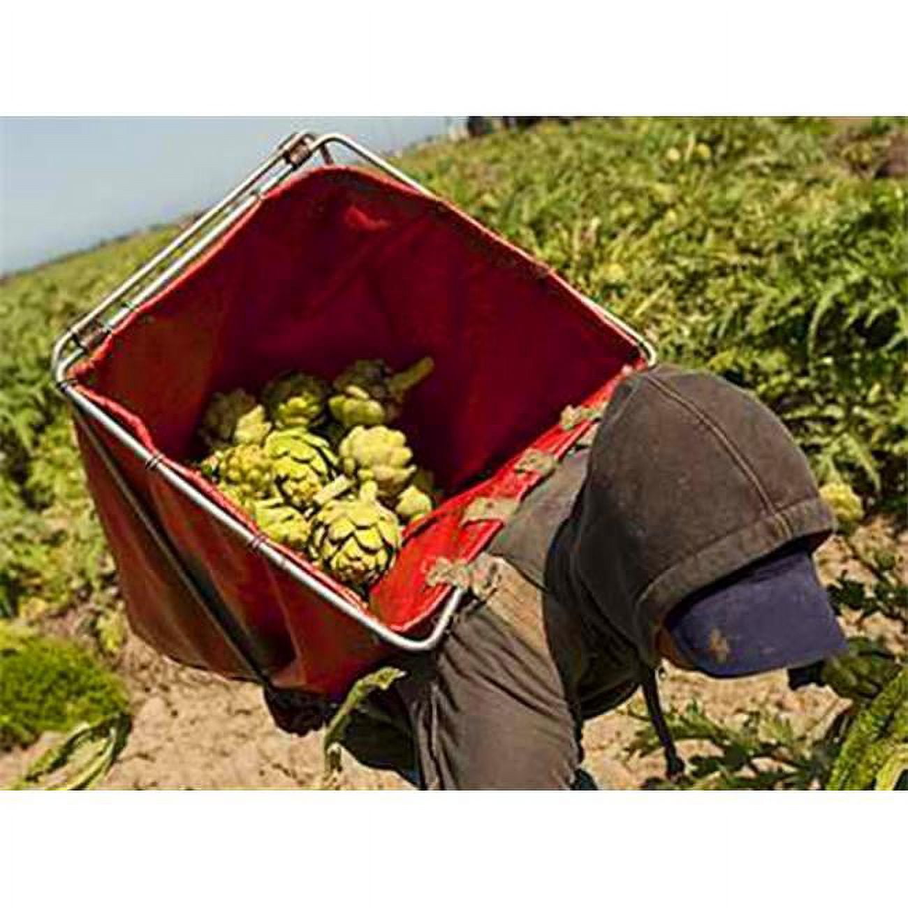 Zenport AG418 AgriKon Artichoke/Vegetable Harvest Tote - Walmart.com