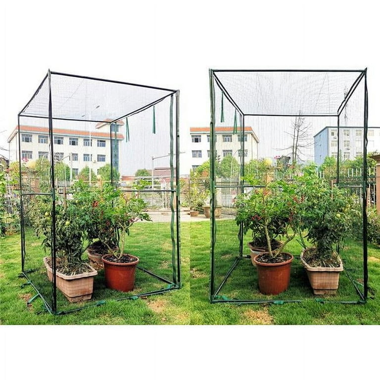 Garden Bird Netting Frame | Fasci Garden