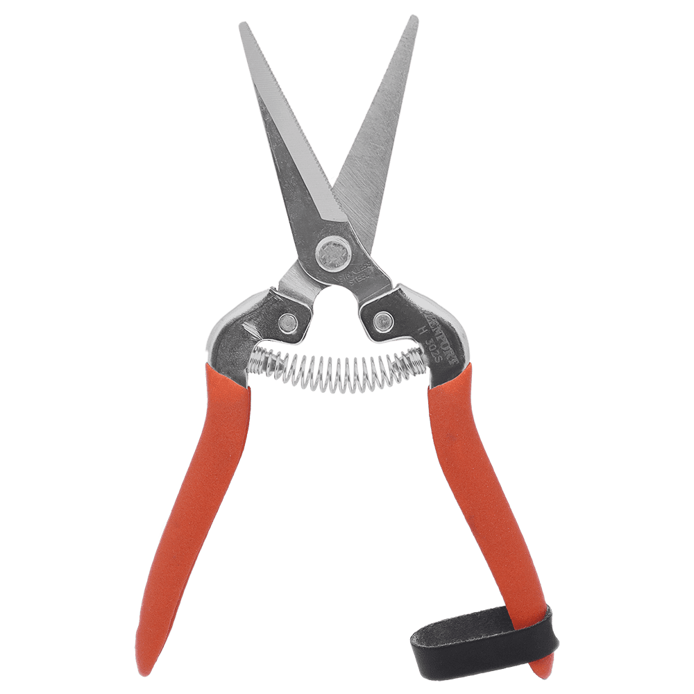 Zenport H302S-12PK Harvest Bunch Cutter Straight Stainless- Box of 12 ...