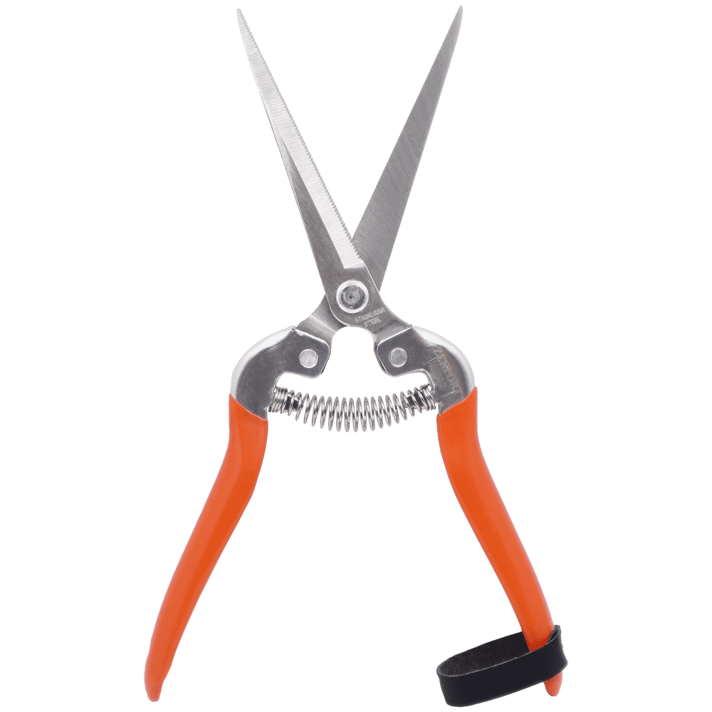 Zenport H312 Extra Long Harvest Shear, 3.25 Inch Stainless Steel Blades ...