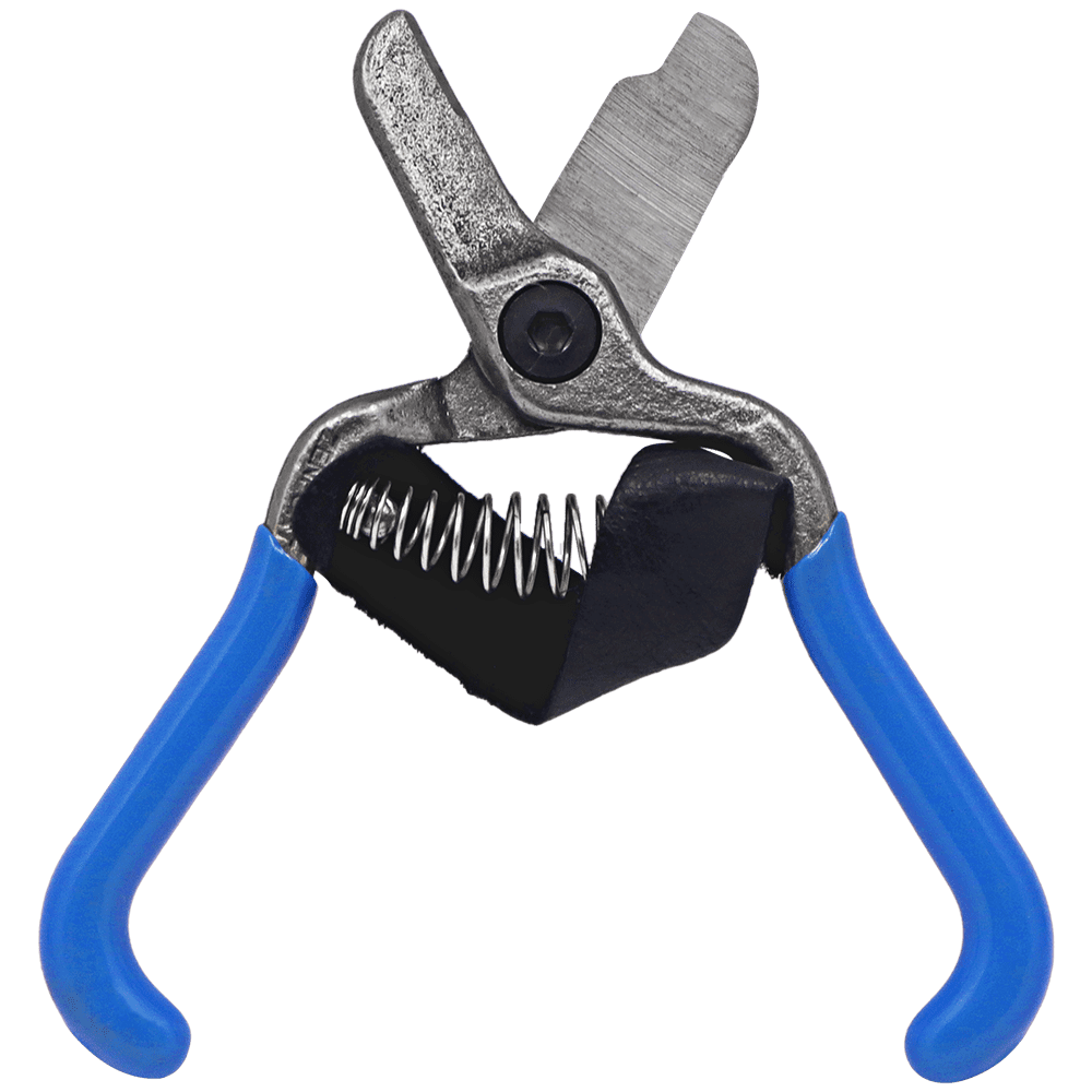 Zenport H322 Fruit Shears with Strap, Lemon Citrus Clipper, 5.5-Inch ...