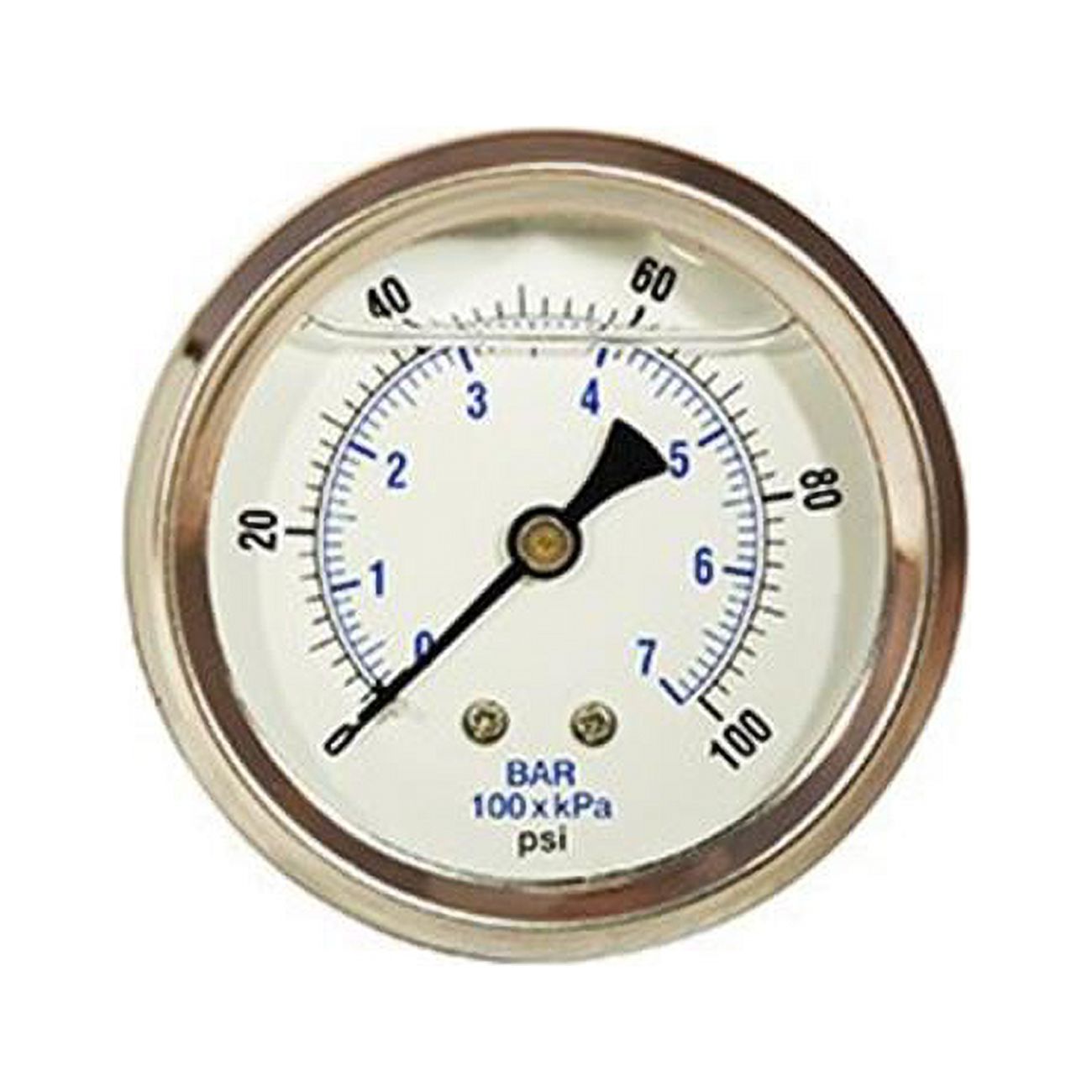 Zenport Industries BLPG100-10PK 100 PSI Back Mount Liquid Gauge - Pack ...
