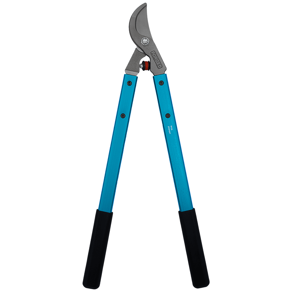 Zenport MV20 Professional Tree Lopper, Vine and Light Tree, 2-Inch Cut ...