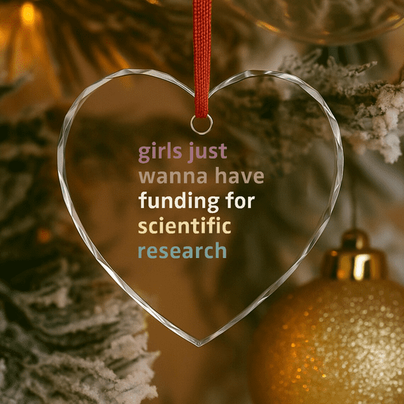 Zeny Decor Phd Graduation Ornament, Girls Just Wanna Have Funding For ...