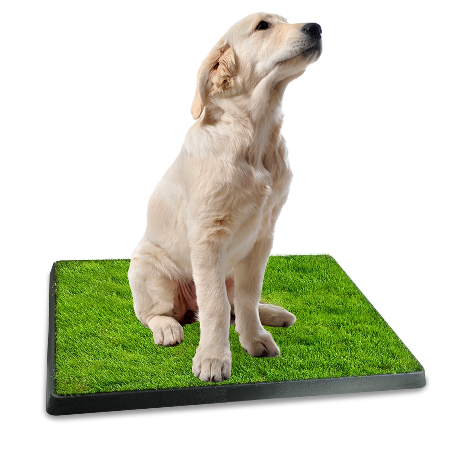 ZephyPaws 25" x 20" Dog Grass Pad with Tray,3-Layer Washable Artificial ...