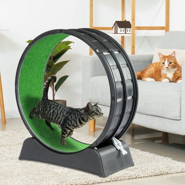 Pefilos 42" 4-in-1 Cat Exercise Wheel for Indoor Cats, Large Cat ...