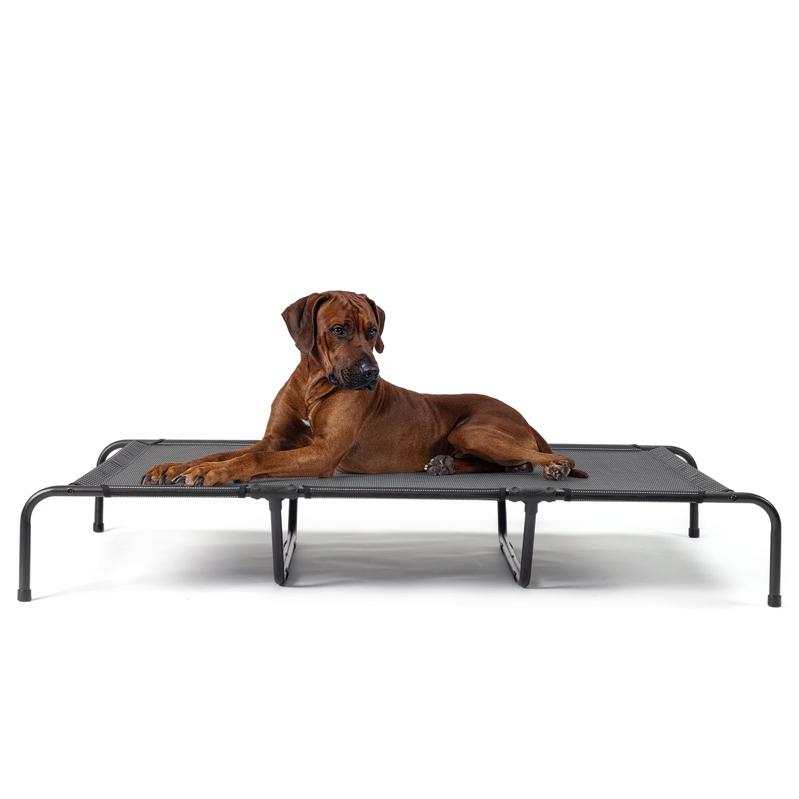 ZephyPaws 60"D x 37"W x 9"H Elevated Raised Cooling Cots Bed for Large ...