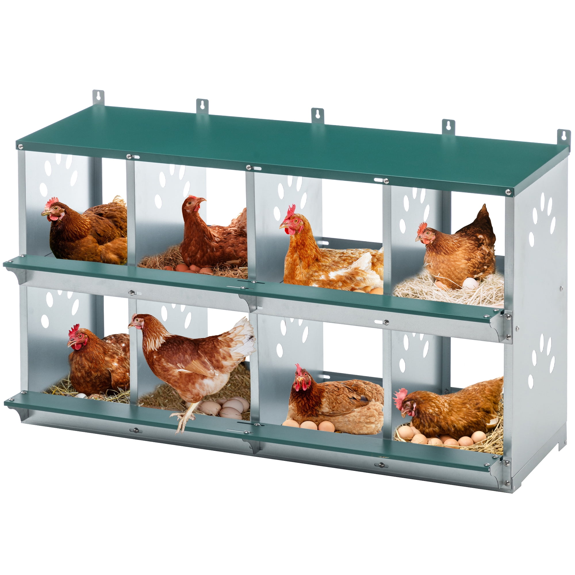 ZephyPaws Chicken Nesting Box,8 Compartments Metal Laying Boxes for ...